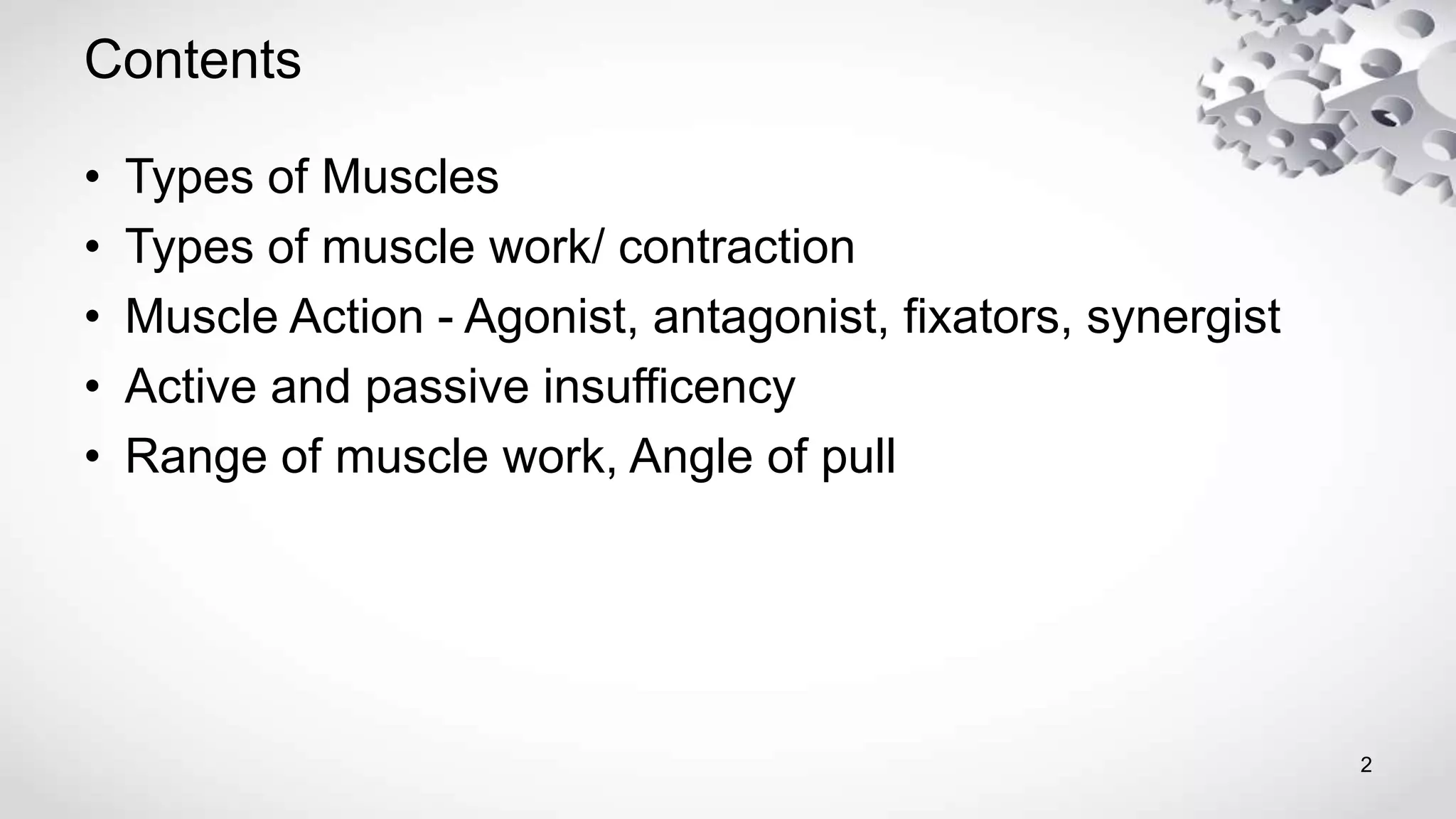 Muscle Mechanics.pptx