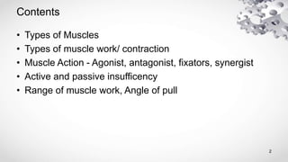 Muscle Mechanics.pptx