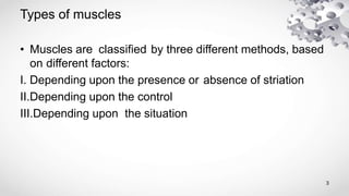 Muscle Mechanics.pptx