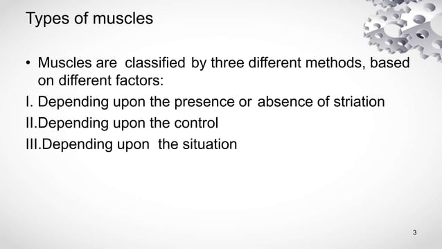 Muscle Mechanics.pptx