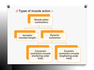 Muscle Mechanics education purpose.....pptx