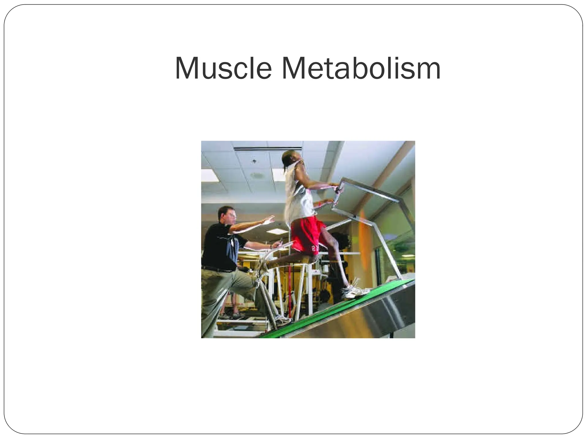 Muscle Metabolism for nursing students.ppt