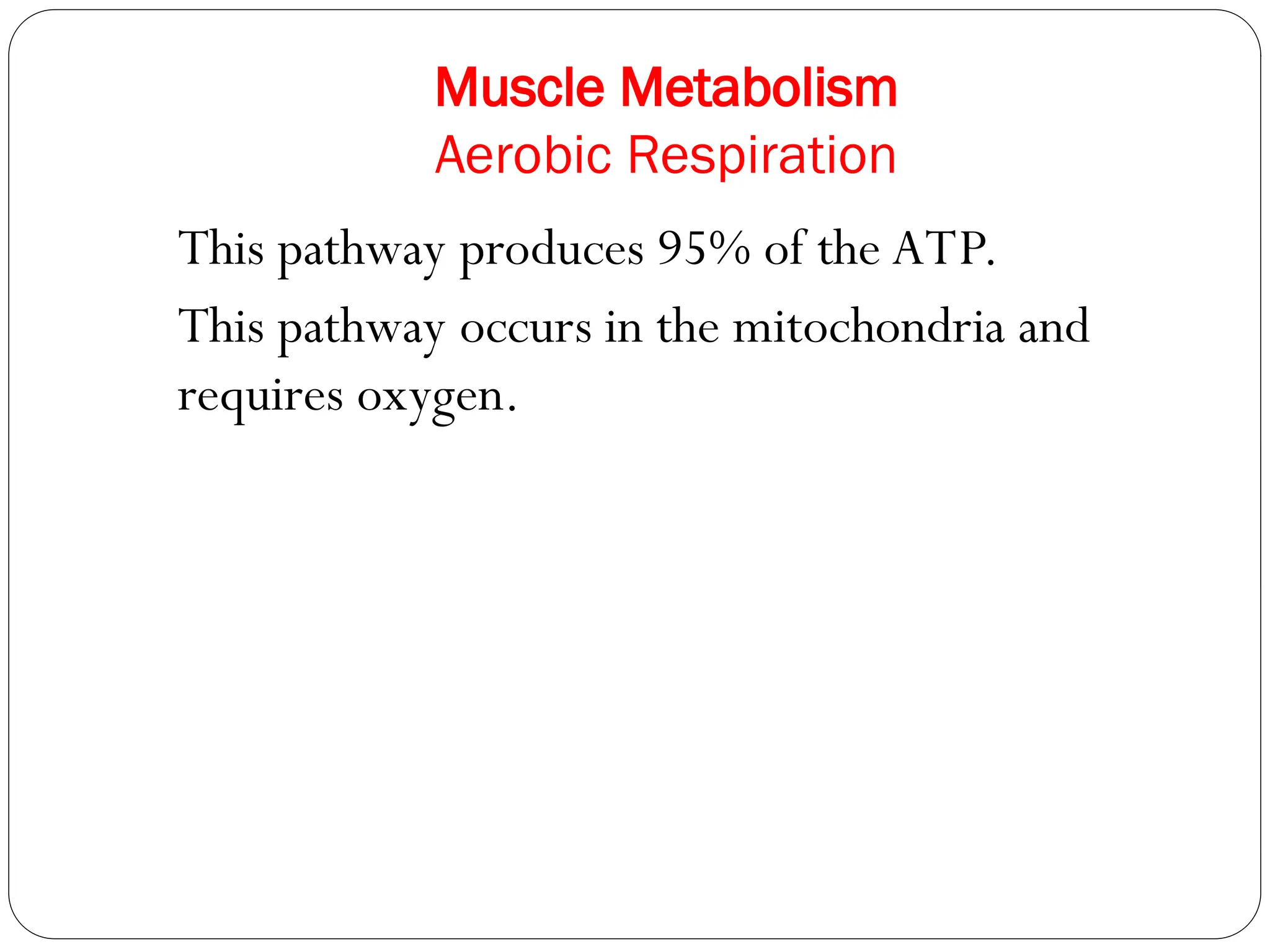 Muscle Metabolism for nursing students.ppt