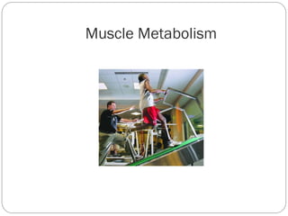 Muscle Metabolism for nursing students.ppt | Endocrine and Metabolic Diseases | Diseases and ...