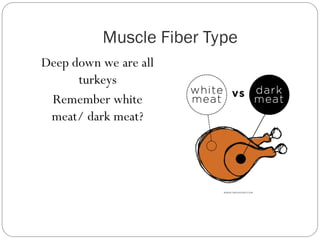 Muscle Metabolism for nursing students.ppt