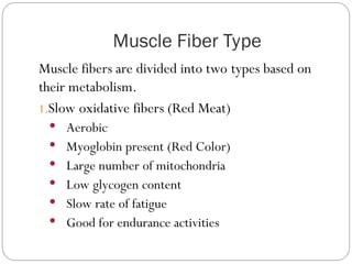 Muscle Metabolism for nursing students.ppt