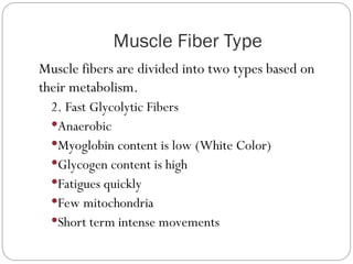 Muscle Metabolism for nursing students.ppt