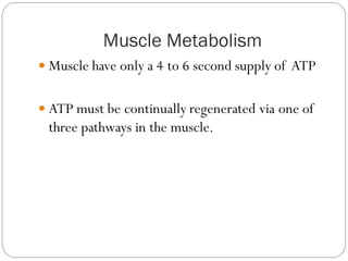 Muscle Metabolism for nursing students.ppt | Endocrine and Metabolic Diseases | Diseases and ...