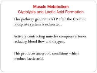 Muscle Metabolism for nursing students.ppt