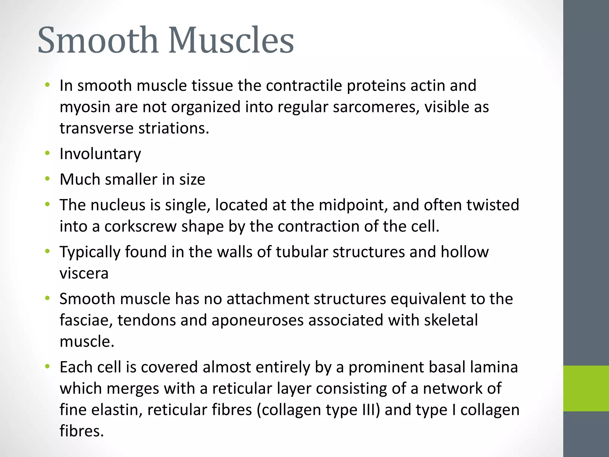 Muscle Microanatomy | PPTX