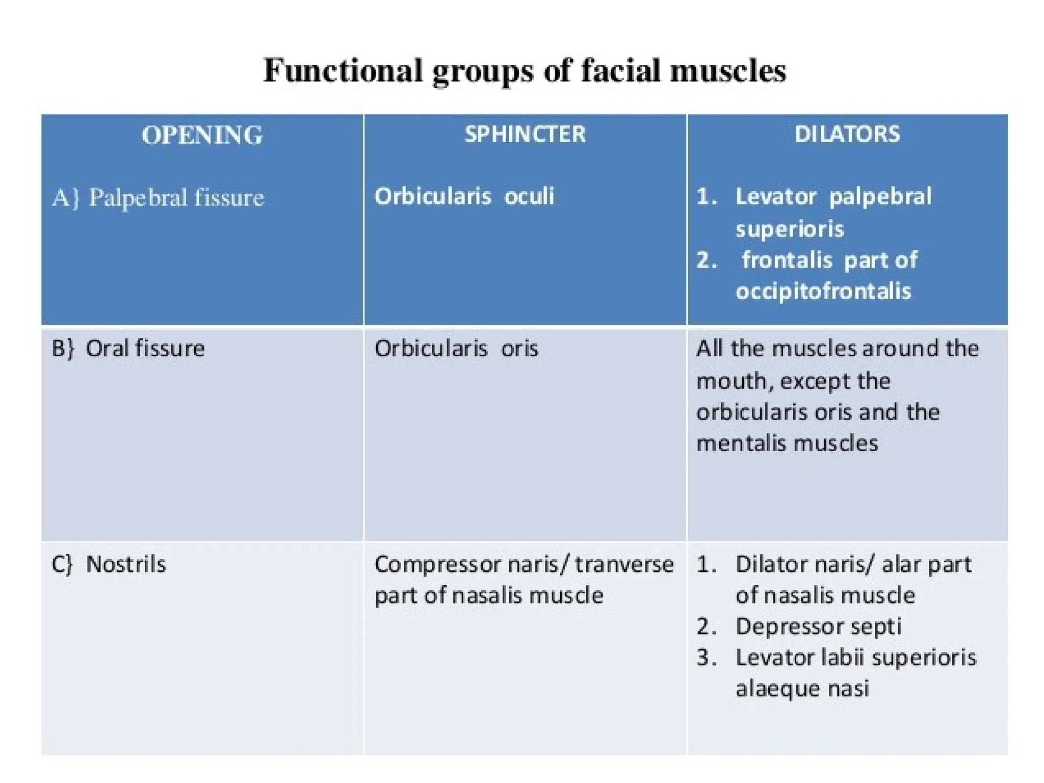 Anatomy of human facial muscles .pptx