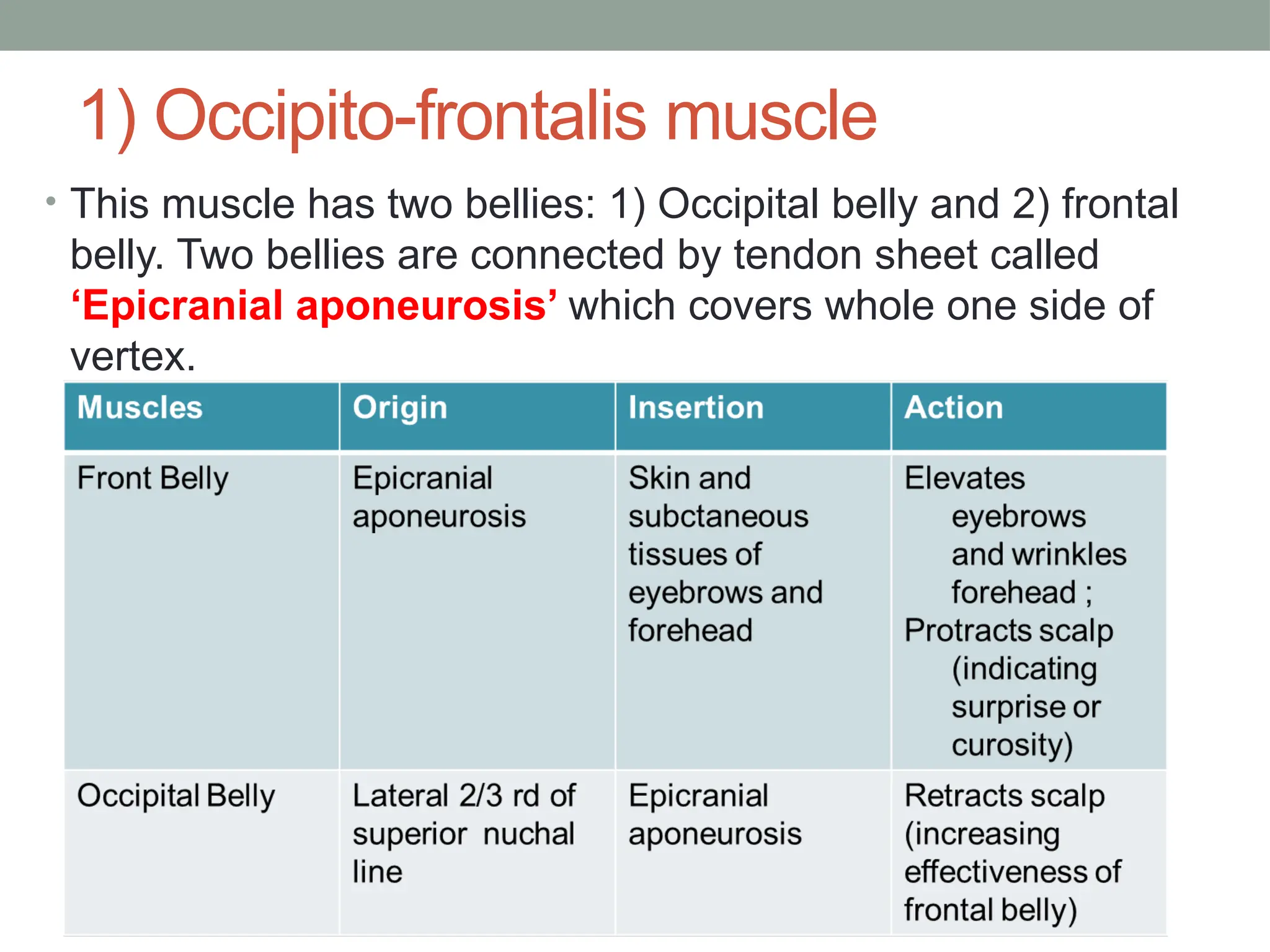 Anatomy of human facial muscles .pptx