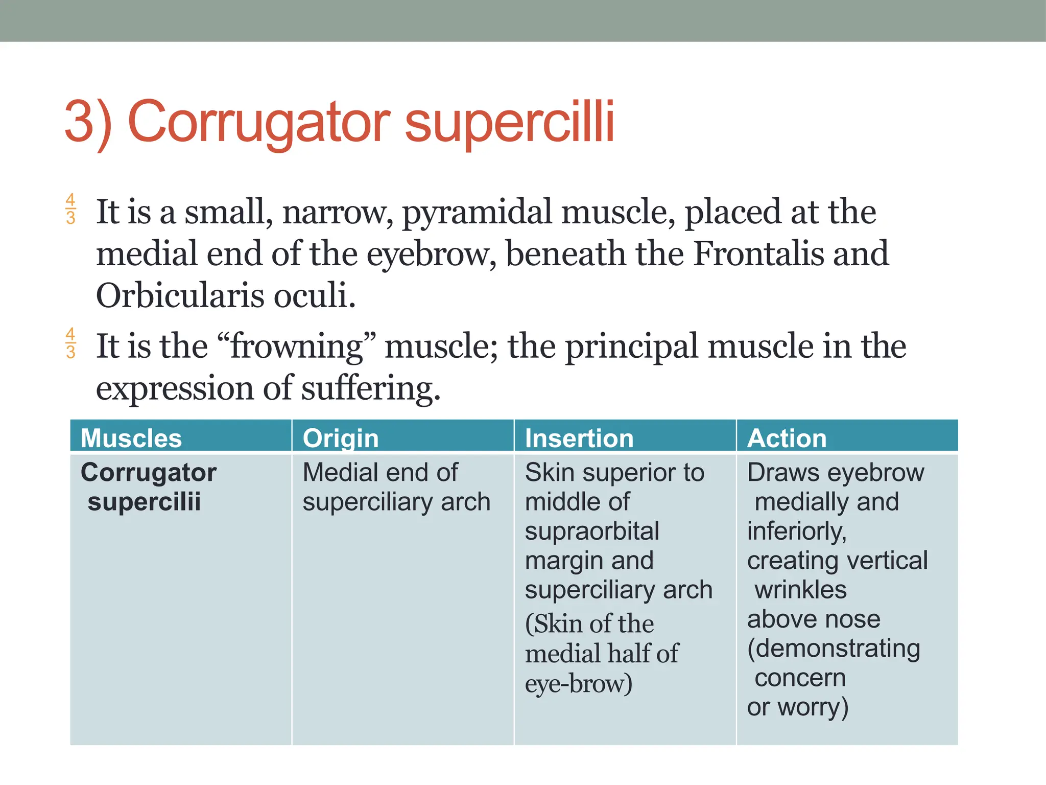 Anatomy of human facial muscles .pptx