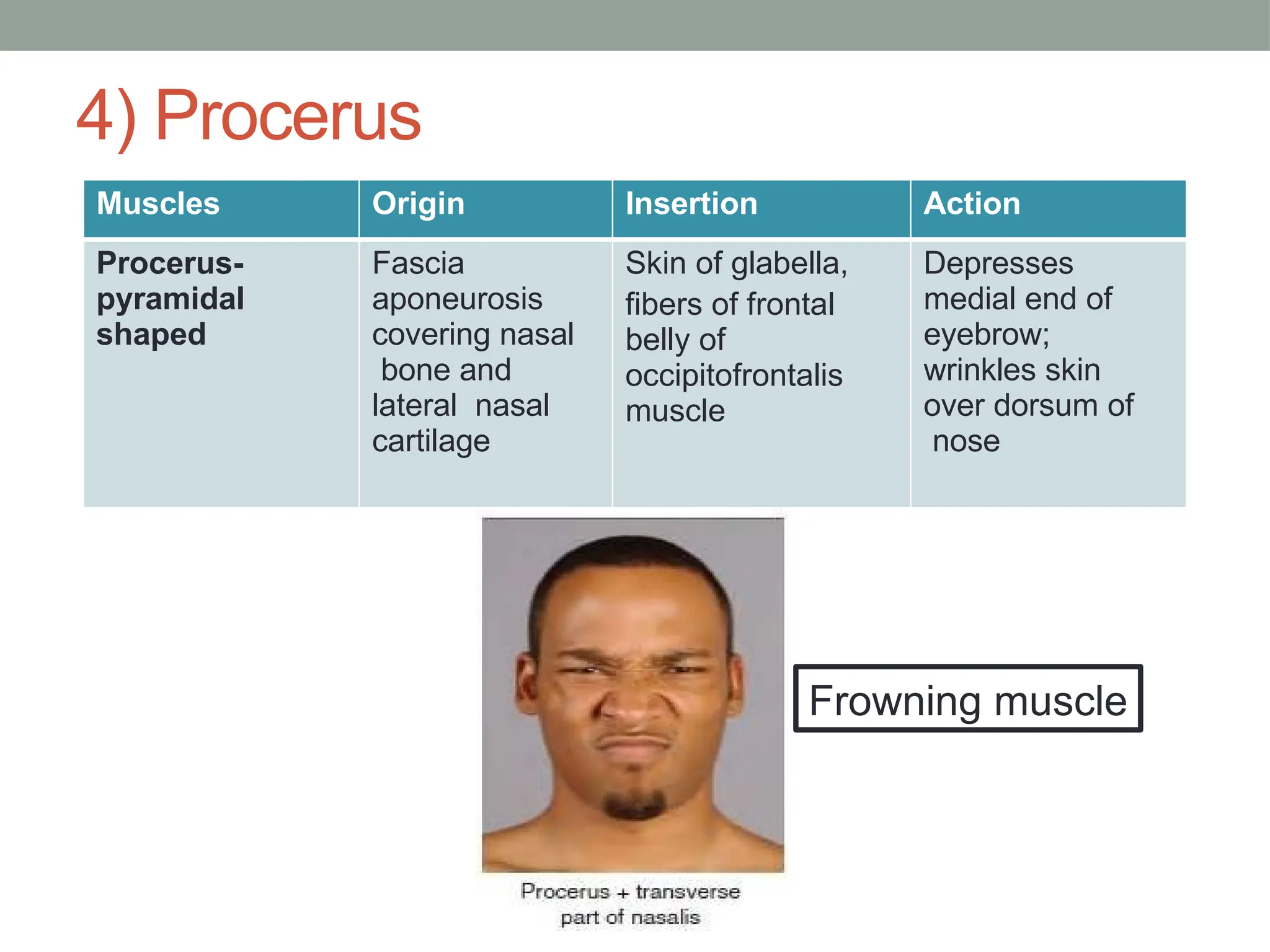 Anatomy of human facial muscles .pptx