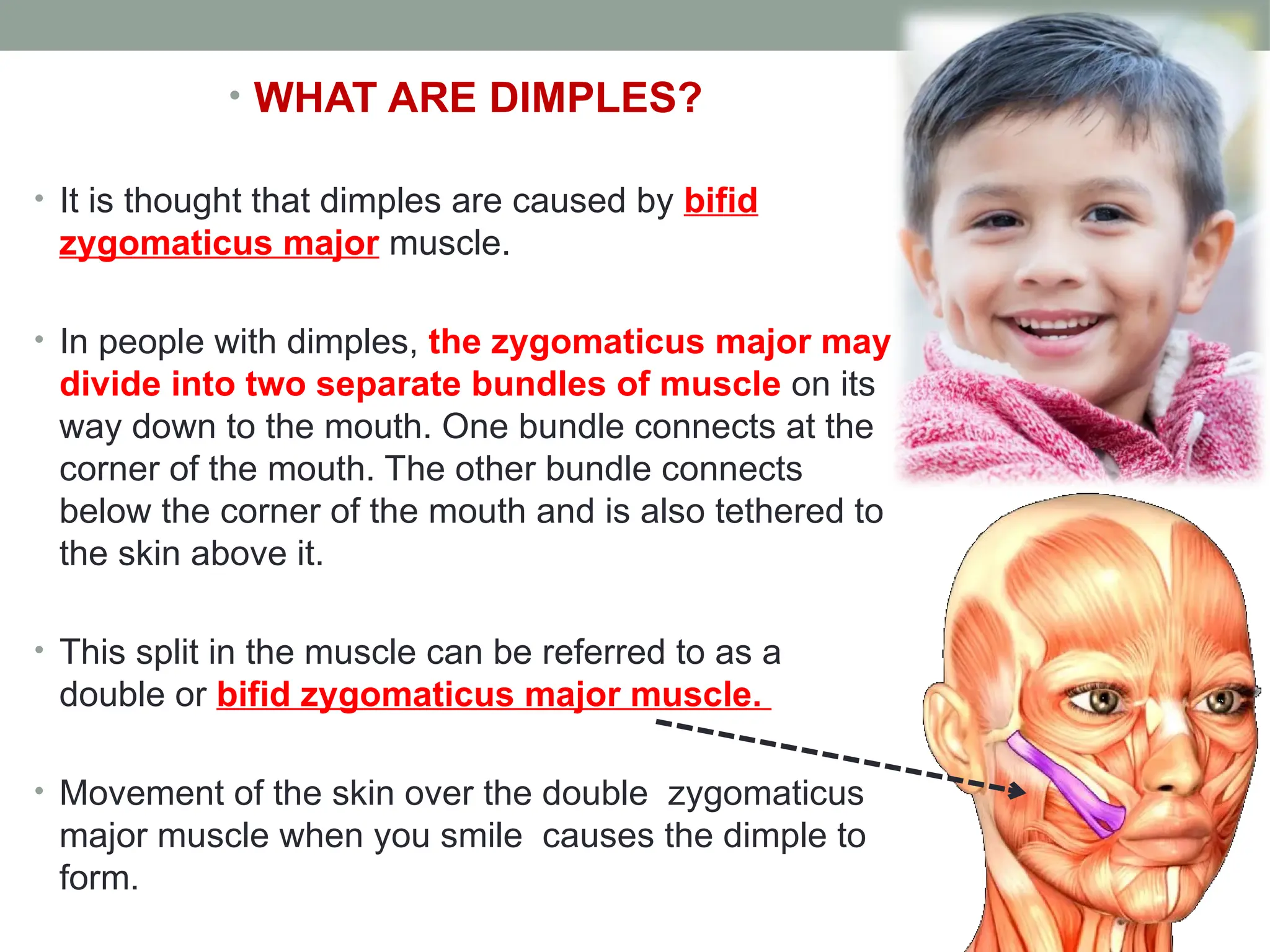Anatomy of human facial muscles .pptx