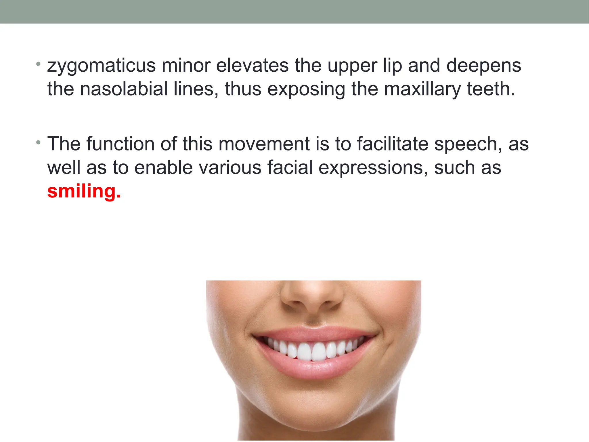 Anatomy of human facial muscles .pptx