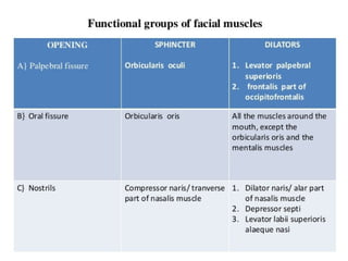 Anatomy of human facial muscles .pptx