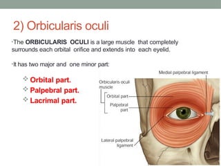 Anatomy of human facial muscles .pptx