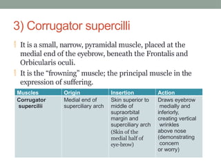 Anatomy of human facial muscles .pptx