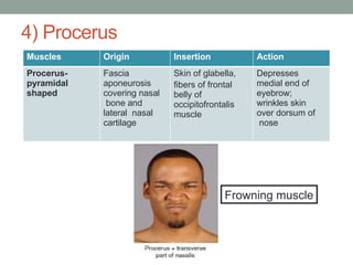 Anatomy of human facial muscles .pptx