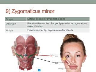 Anatomy of human facial muscles .pptx