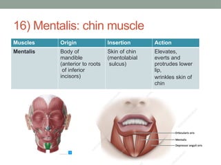 Anatomy of human facial muscles .pptx