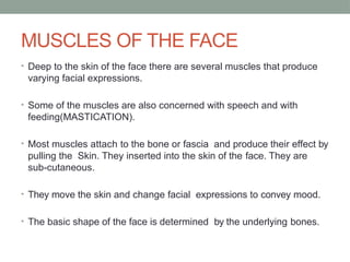 Anatomy of human facial muscles .pptx