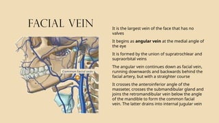 MUSCLES OF FACIAL EXPRESSION, BLOOD AND VENOUS SUPPLY OF HEAD AND ...