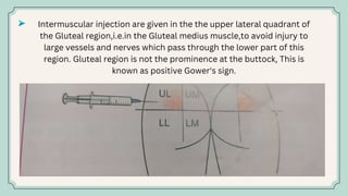 Muscle of Gluteal region and their clinical significance .ppt Reshi ...