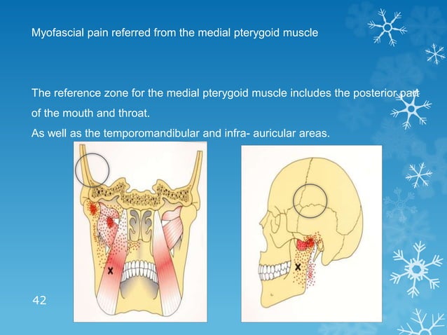 Muscle of mastication | PPT