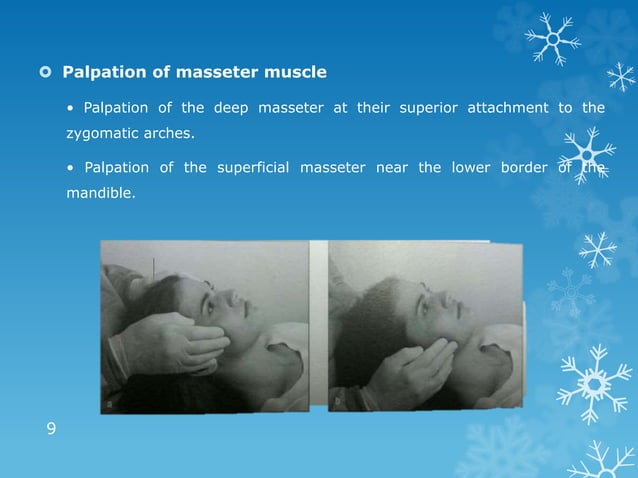 Muscle of mastication | PPT