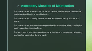 muscle of mastication.pptx | Death, Injury, or Military Conflict ...