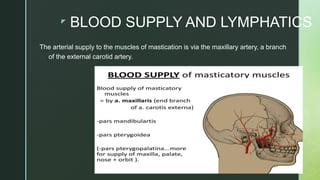 muscle of mastication.pptx