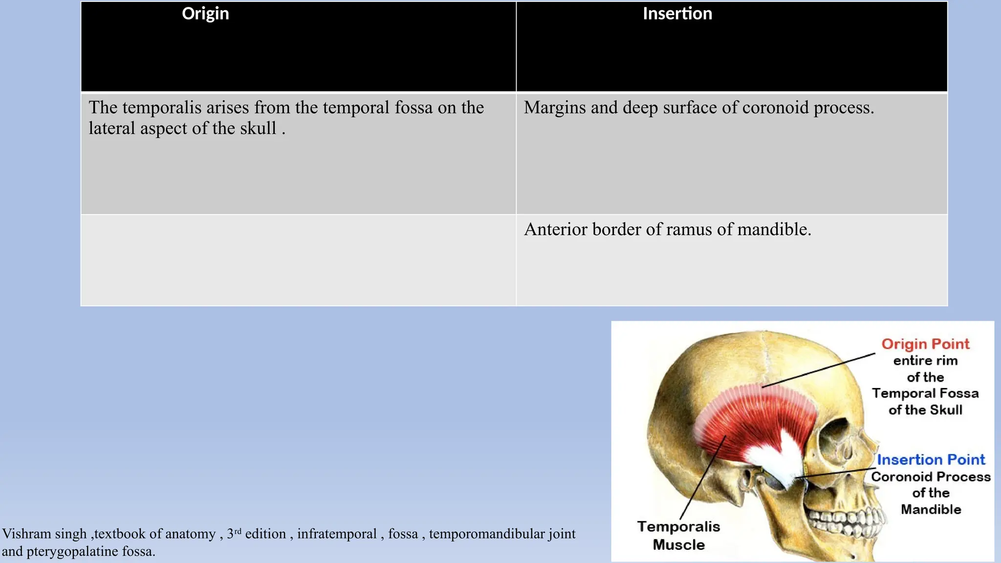 muscle of mastication by PGt student MDs | PPT