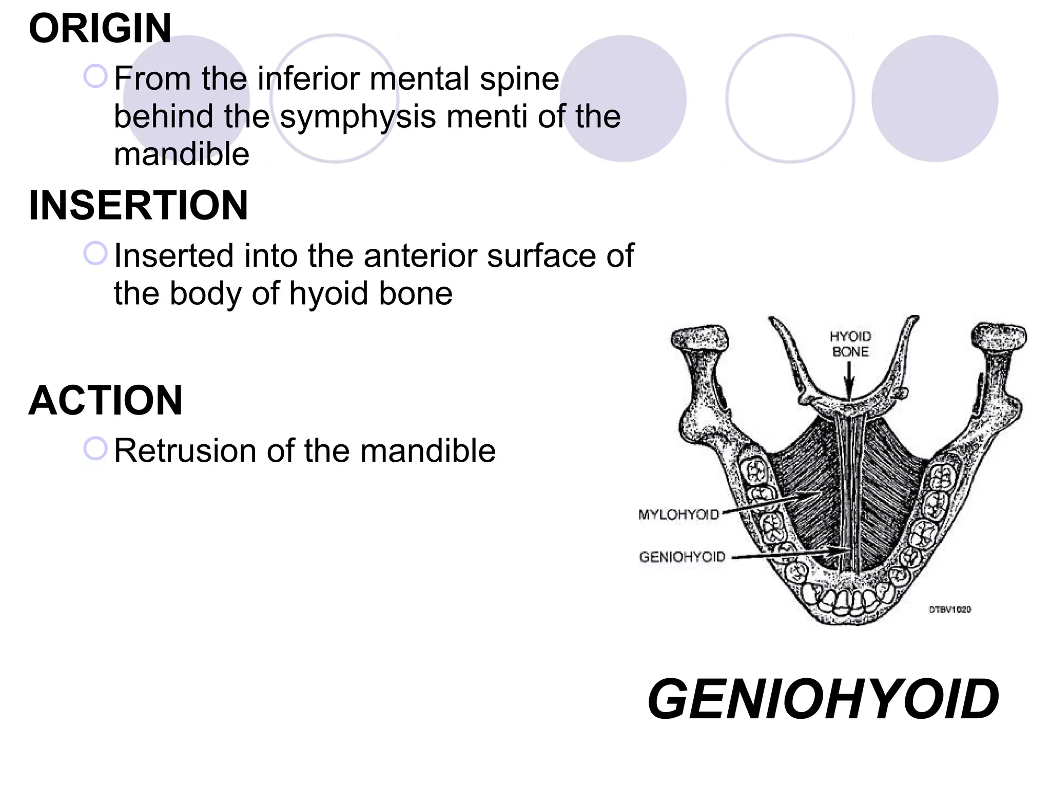 Muscle of mastication and muscle of facial expression | PPT