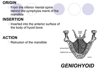 Muscle of mastication and muscle of facial expression | PPT