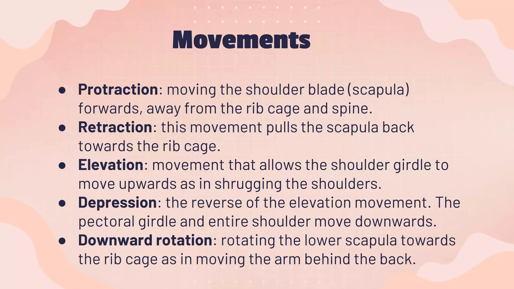 Muscle of Shoulder Girdle | PPTX