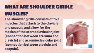 Muscle of Shoulder Girdle | PPTX