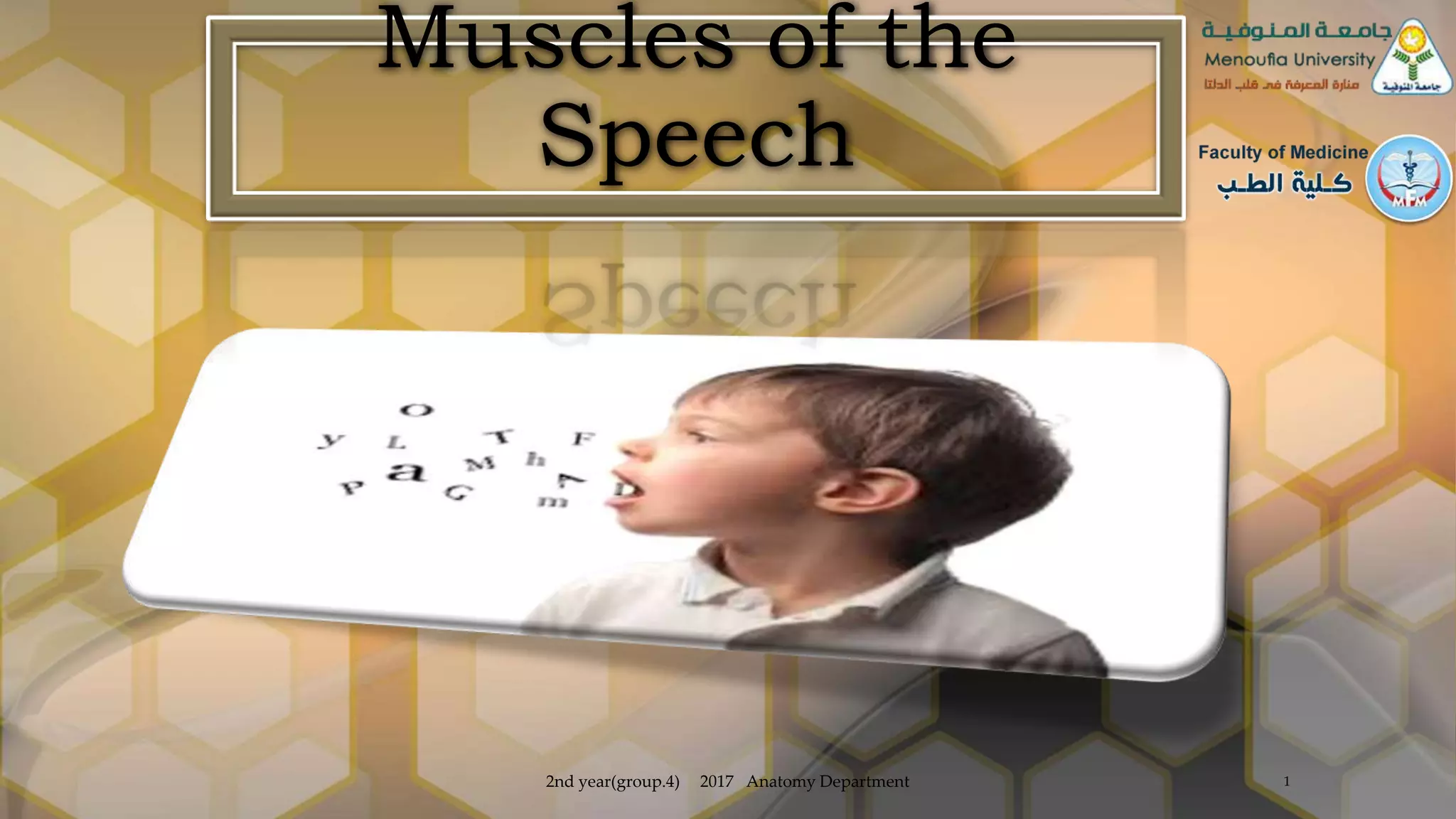 Muscles of the speech | PPSX