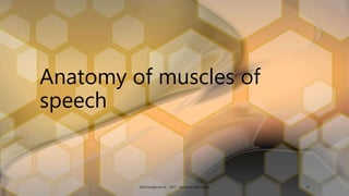 Muscles of the speech | PPSX