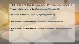 Muscles of the speech | PPSX
