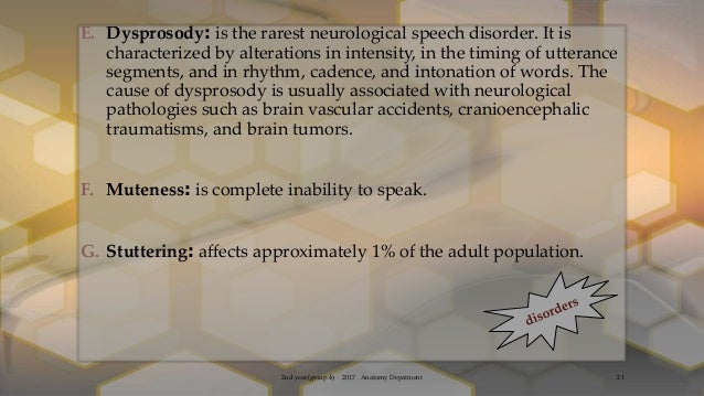 Muscles of the speech