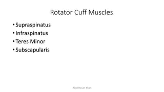 Muscles of thorax | PPTX