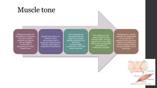 Muscle pain mechanism | PPTX