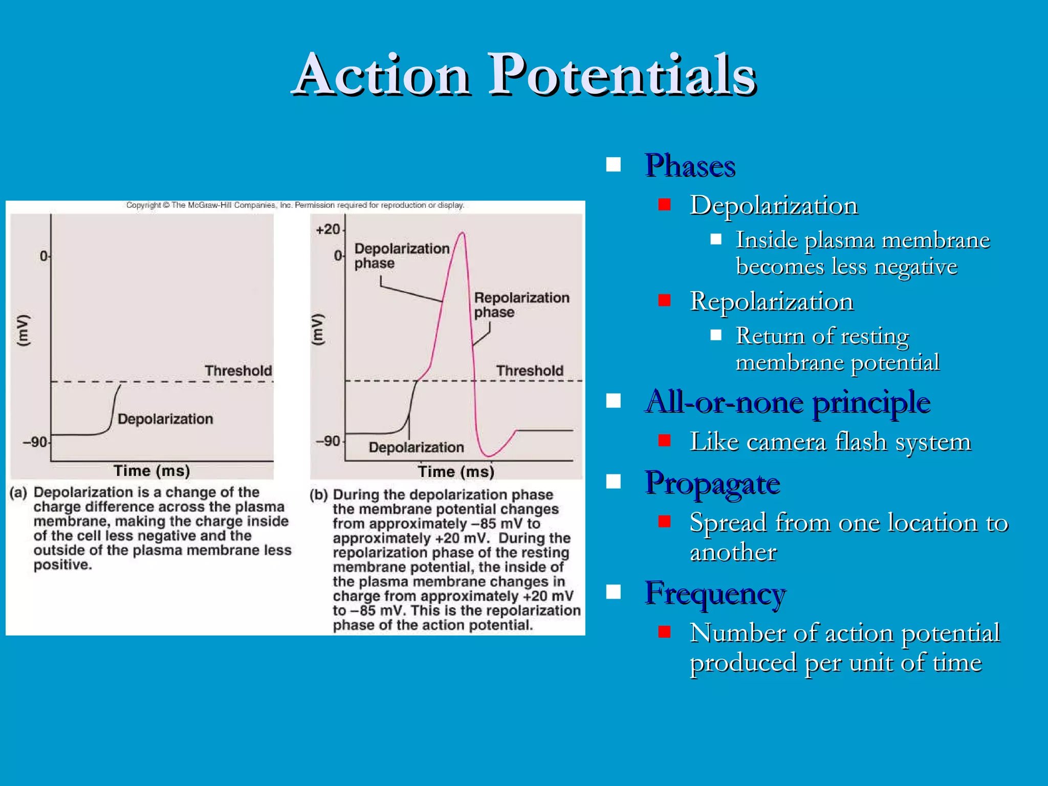 Muscle physio | PPT
