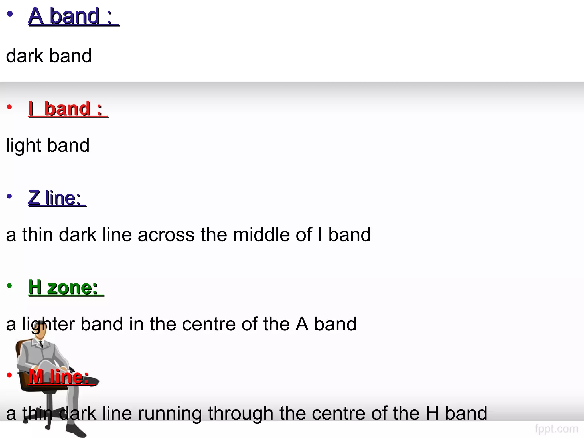 Muscle Contraction physiology | PPT