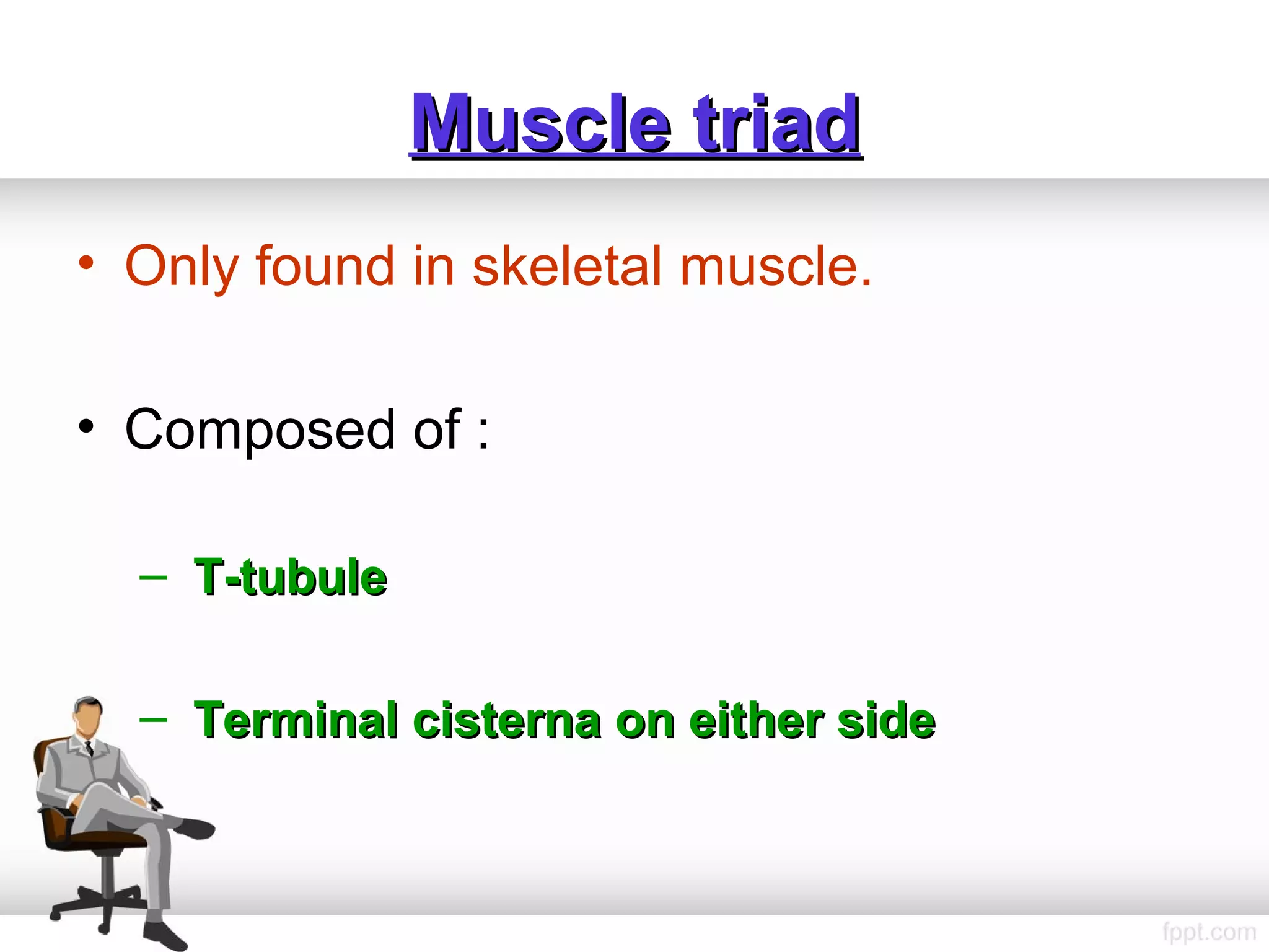 Muscle Contraction physiology | PPT