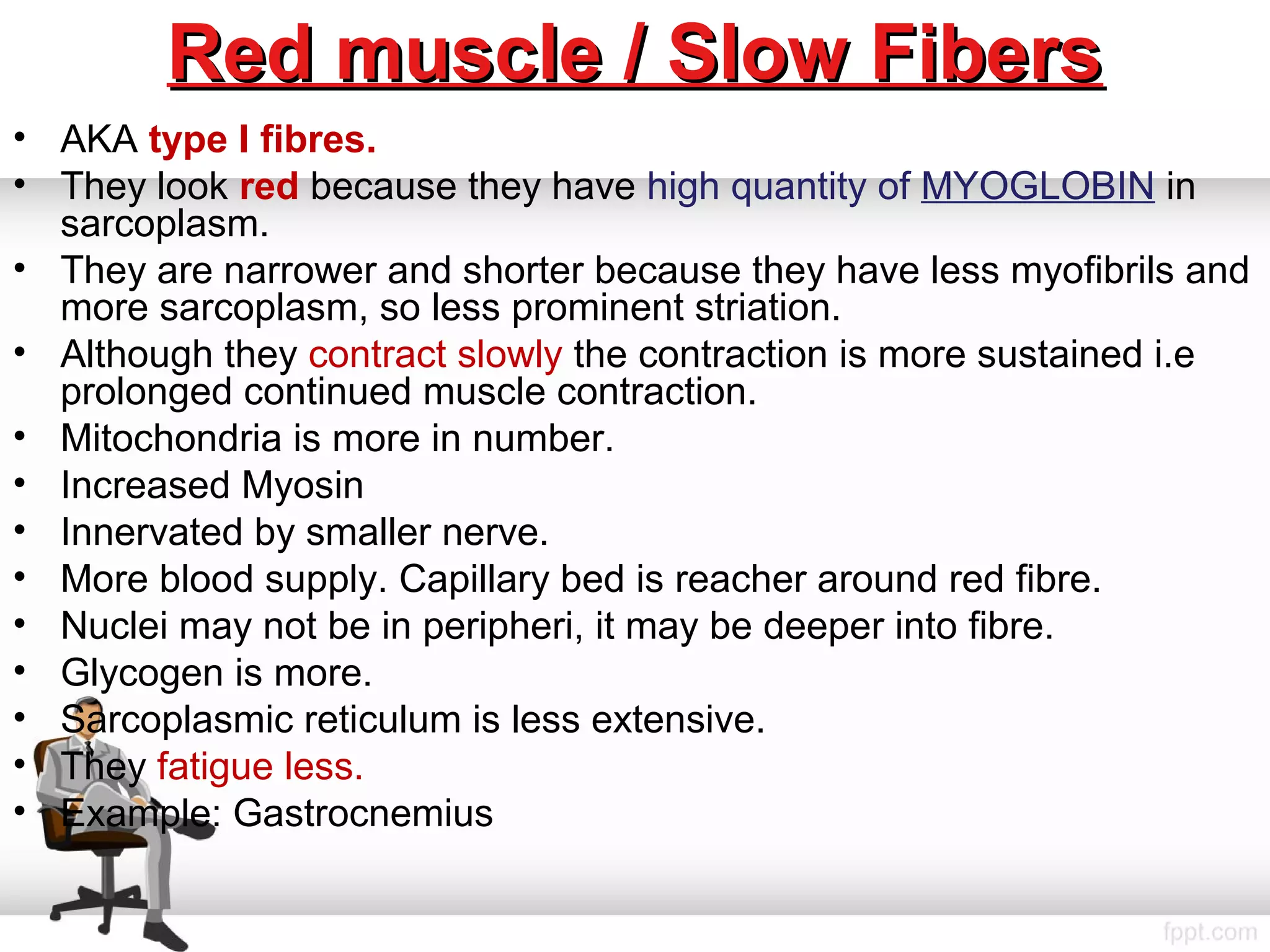 Muscle Contraction physiology | PPT