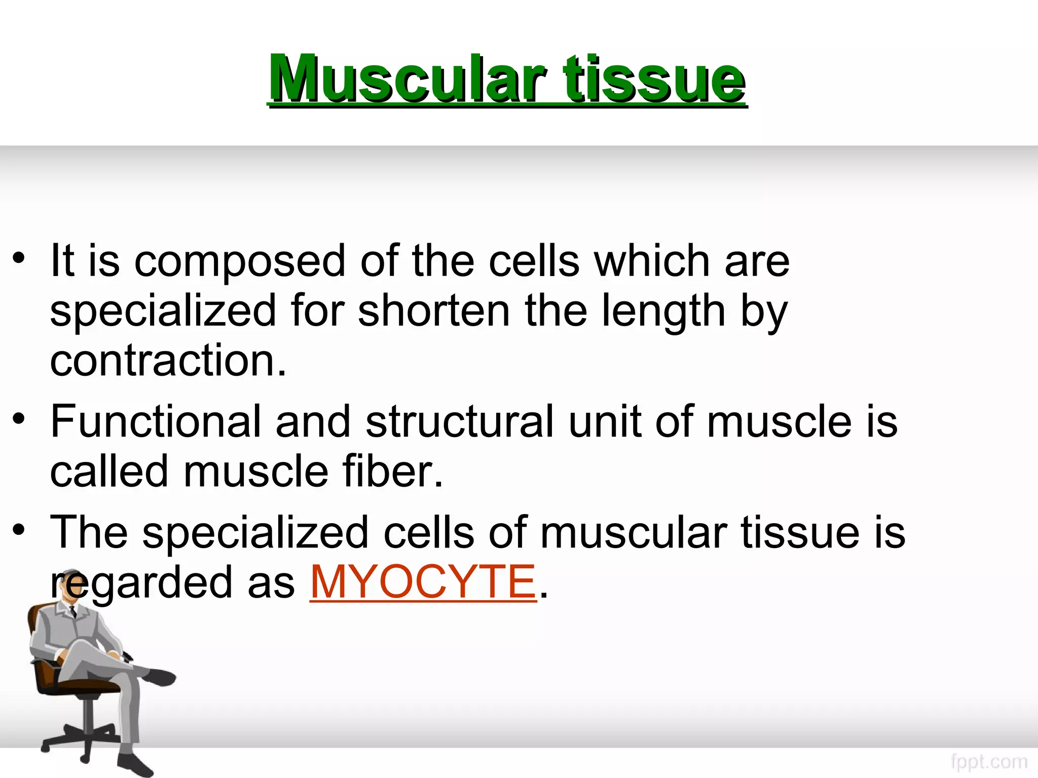Muscle Contraction physiology | PPT