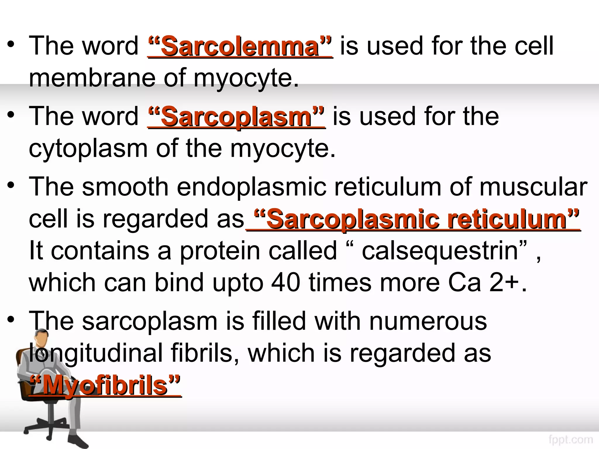 Muscle Contraction physiology | PPT